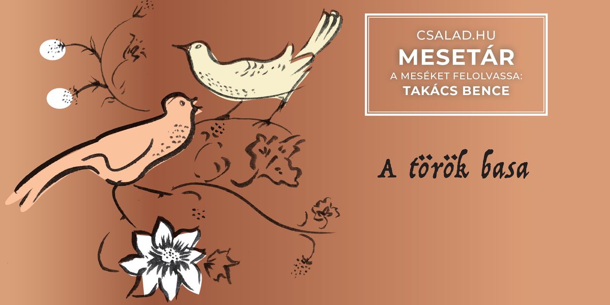 A török basa - csalad.hu